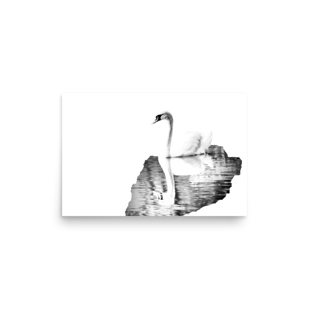 Swan - Black & White - Art Print – Lucky Kitty Studio